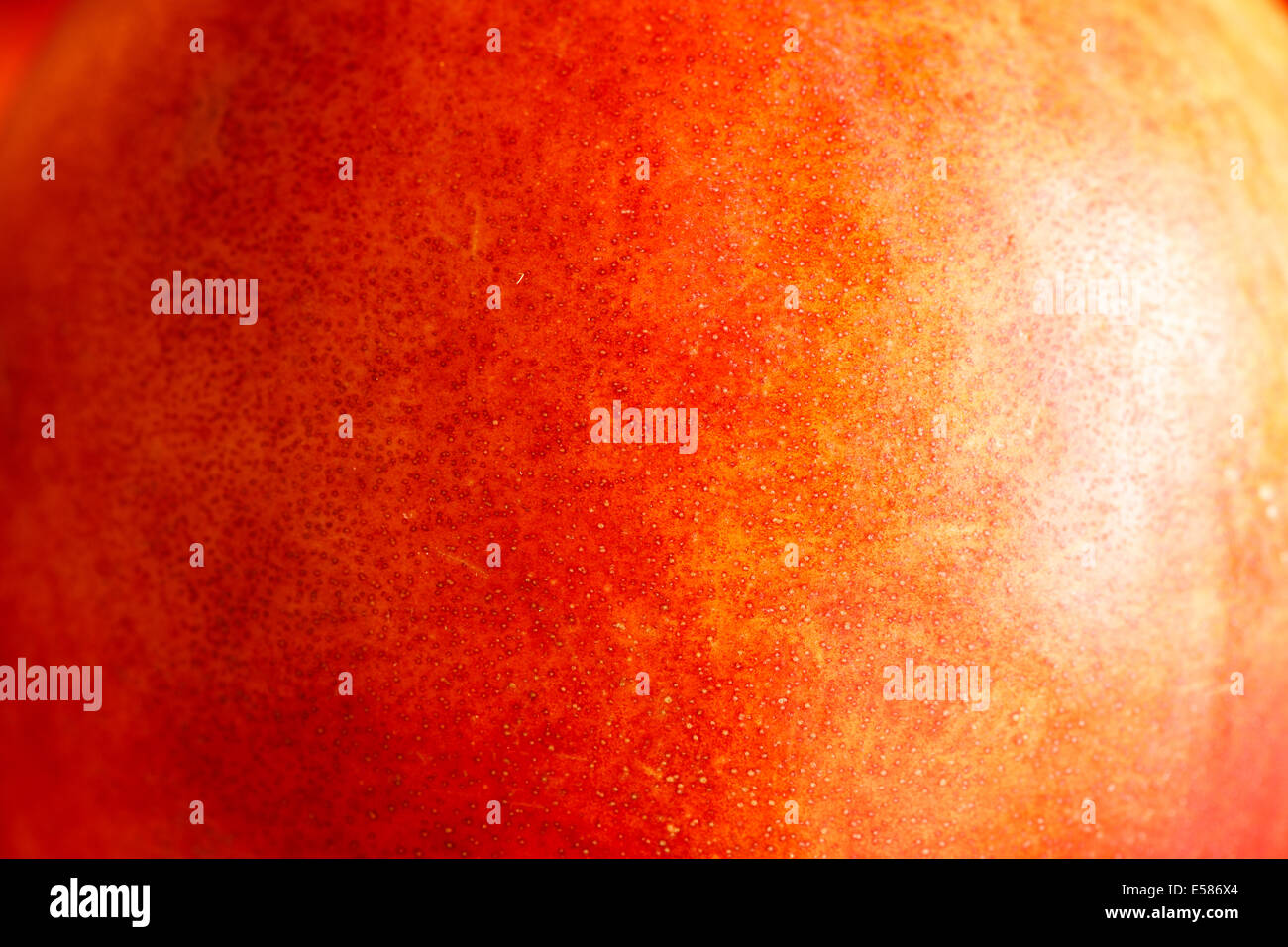 close up macro of orande fresh nectarine texture Stock Photo - Alamy