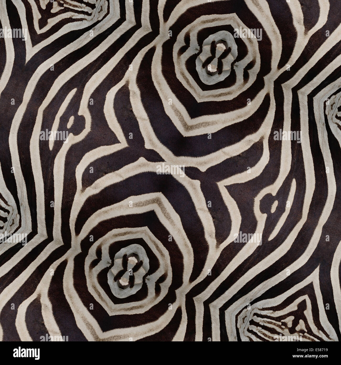 Seamless pattern made from skin of Common Zebra, Burchell's Zebra Stock ...
