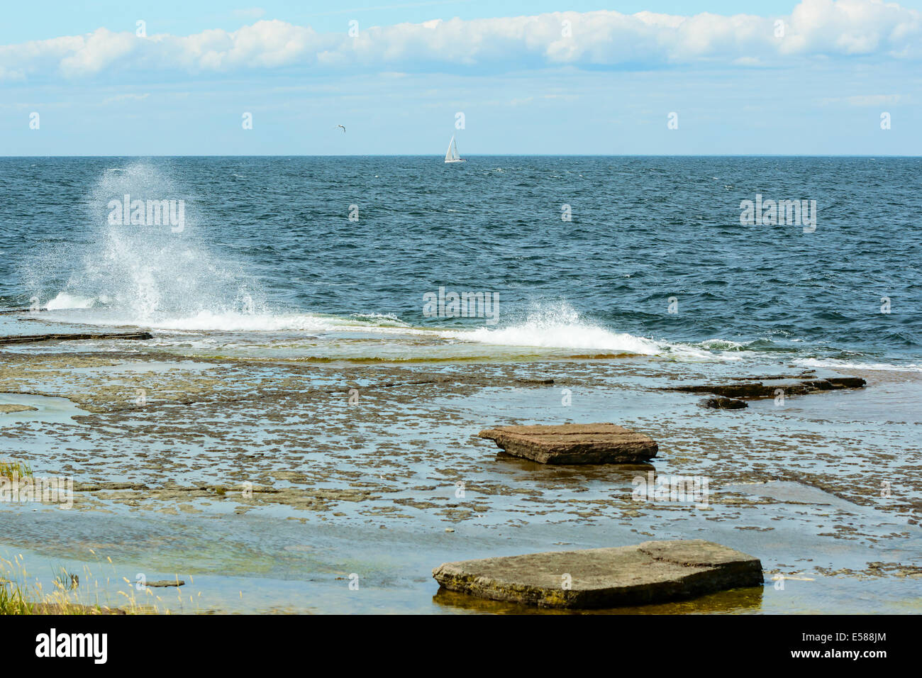 Limestone beach hi-res stock photography and images - Alamy