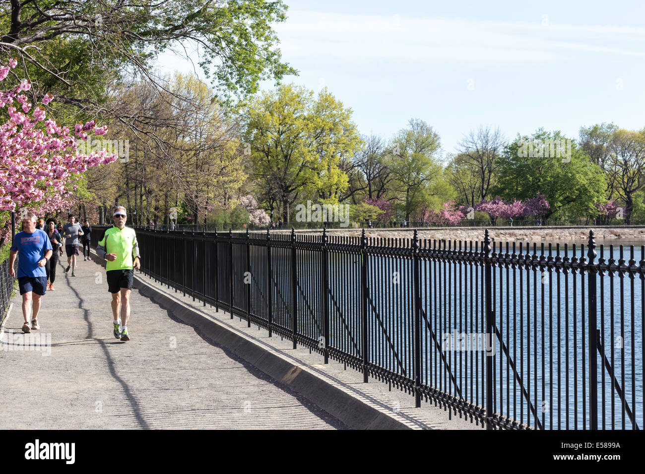 The Reservoir Jogging Path, Central Park, NYC, USA Stock Photo - Alamy