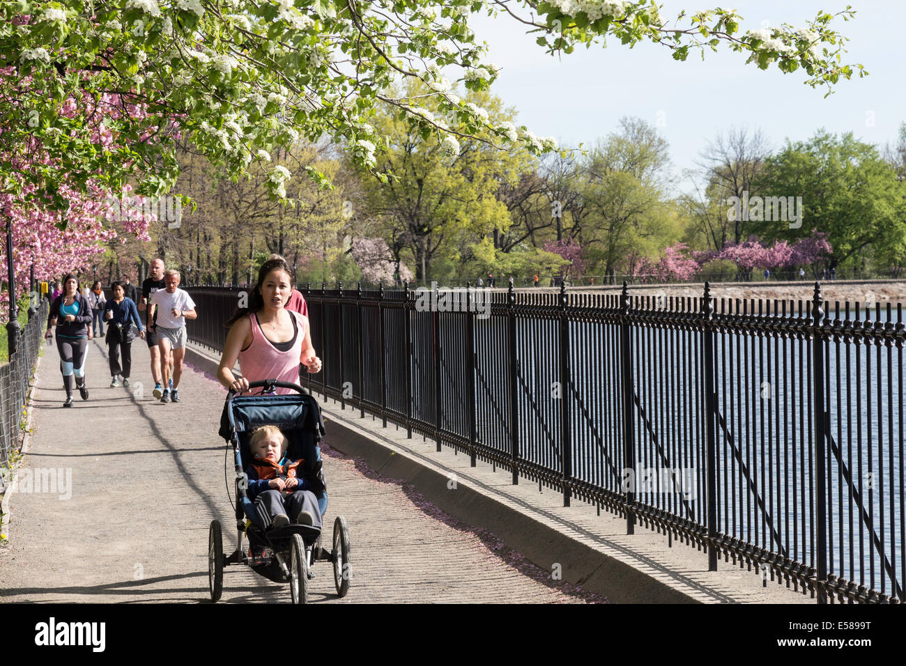 The Reservoir Jogging Path, Central Park, NYC, USA Stock Photo - Alamy