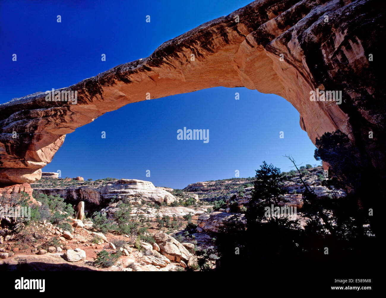 Kachina Bridge,Natural Bridges National Monument,Utah Stock Photo - Alamy