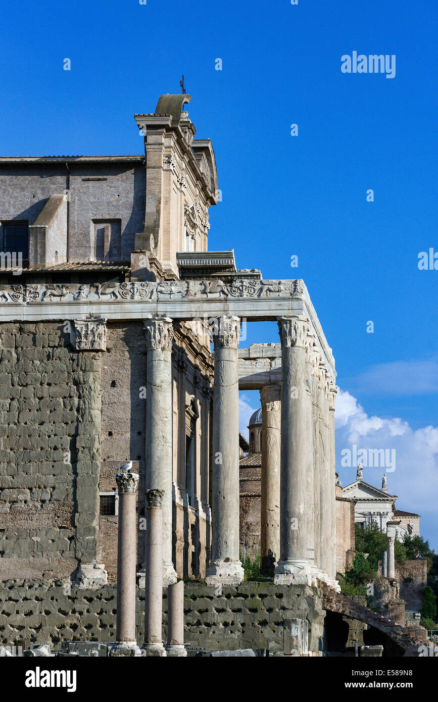 Roman forum forum romanum temple hi-res stock photography and images ...