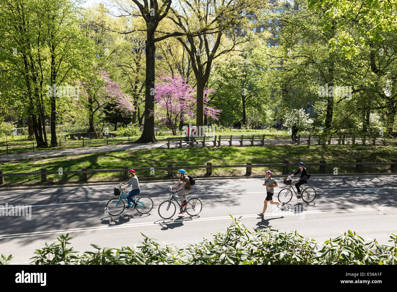 Joggers and Bicyclists in Central Park, NYC Stock Photo - Alamy Joggers and Bicyclists in Central Park, NYC Stock Photo - Alamy