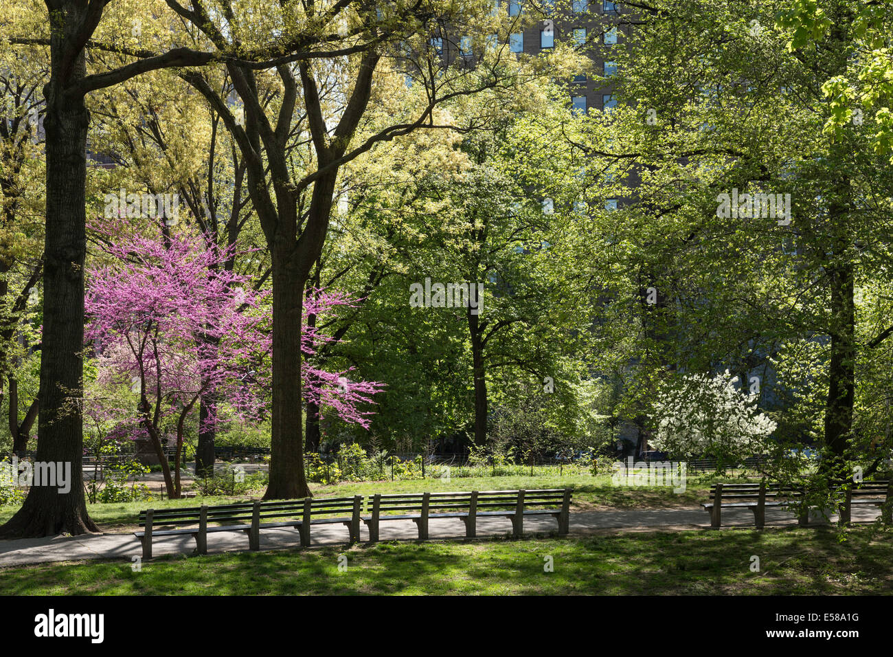 Peaceful Spring Day, Central park, NYC, USA Stock Photo - Alamy