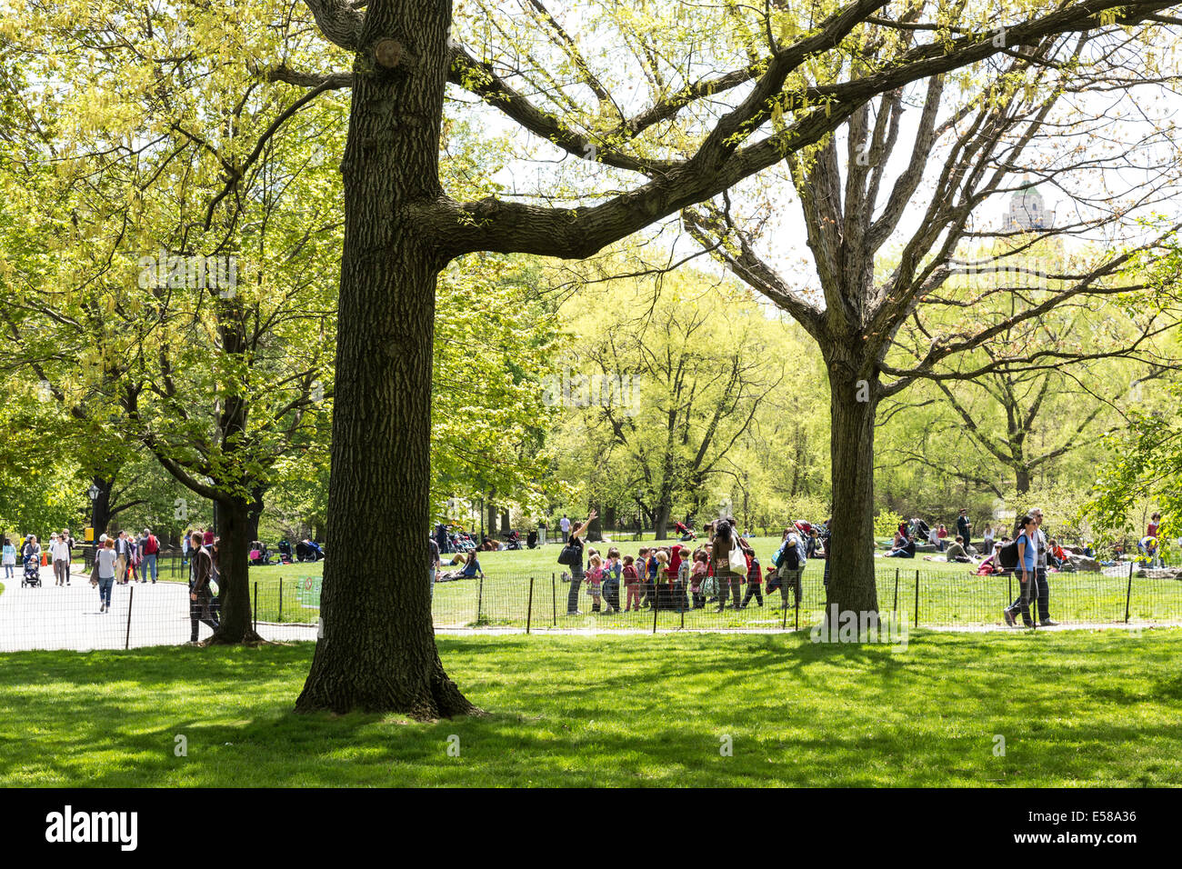 Children Playing, Grade School Class Outing, Central Park, NYC, USA ...