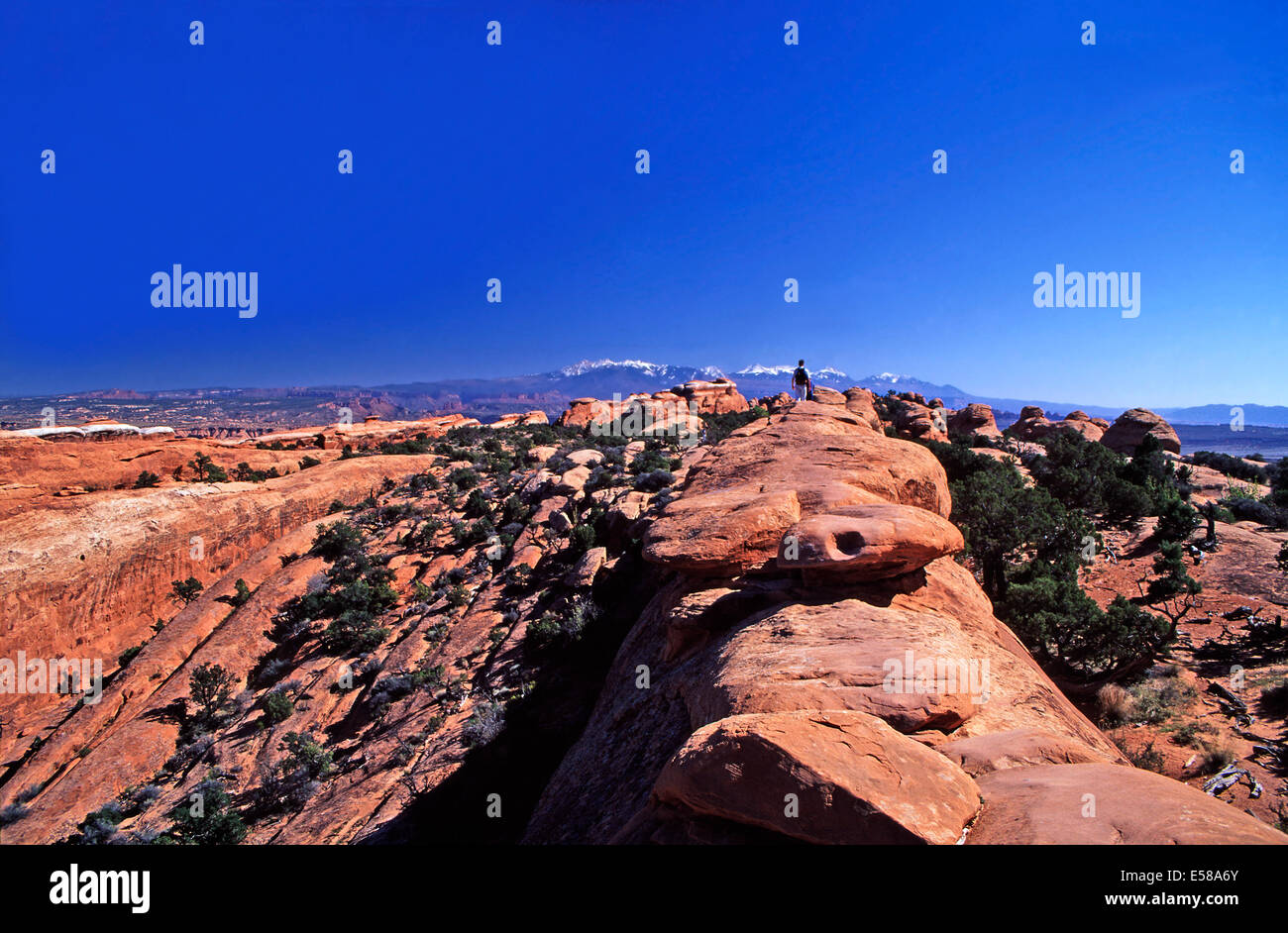 Fin Canyon,Arches National Park,Utah Stock Photo - Alamy