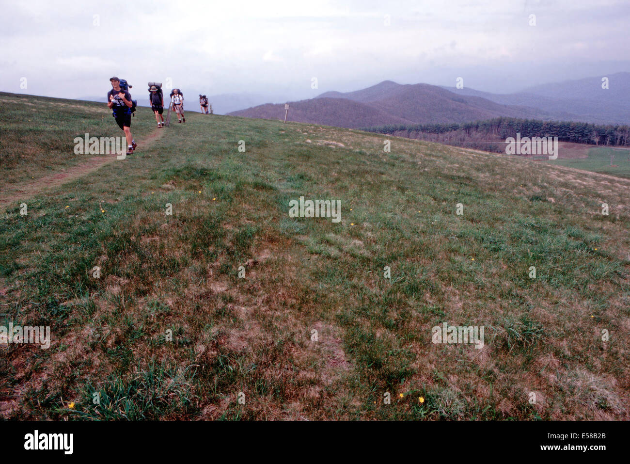 Hikers on The Appalachian Trail crossing the Max Patch bald,North ...
