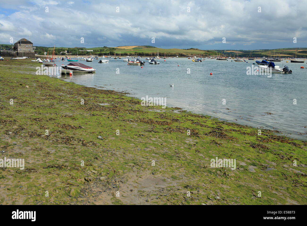 Camel estuary at Rock, low tide, North Cornwall, England, UK Stock ...