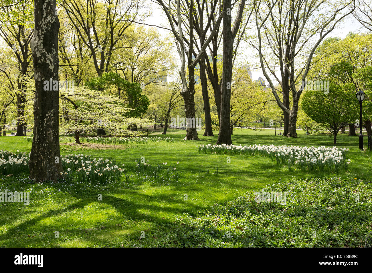 Scenic Spring Day in Central Park, NYC Stock Photo - Alamy