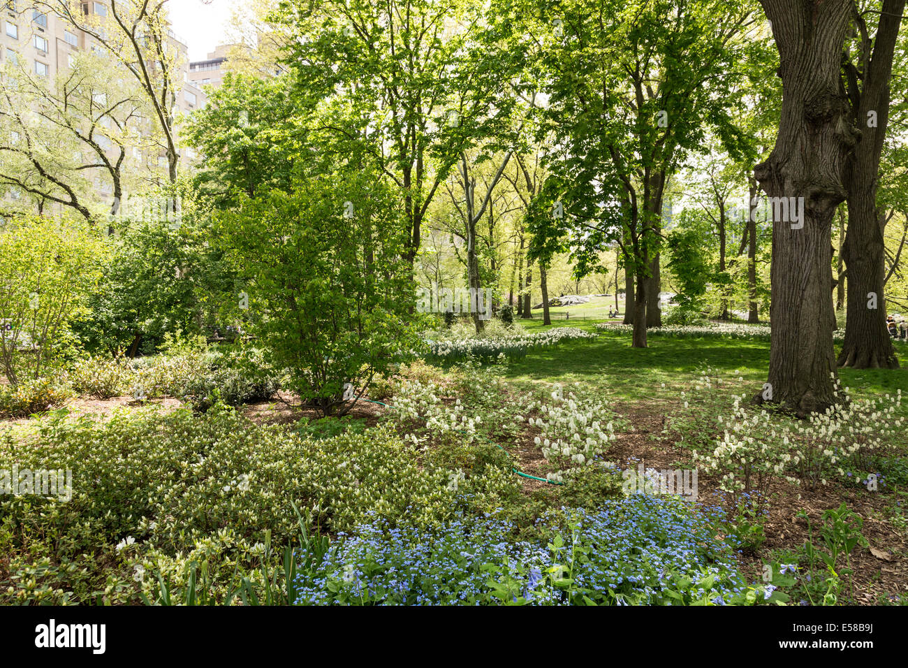 Scenic spring hi-res stock photography and images - Alamy