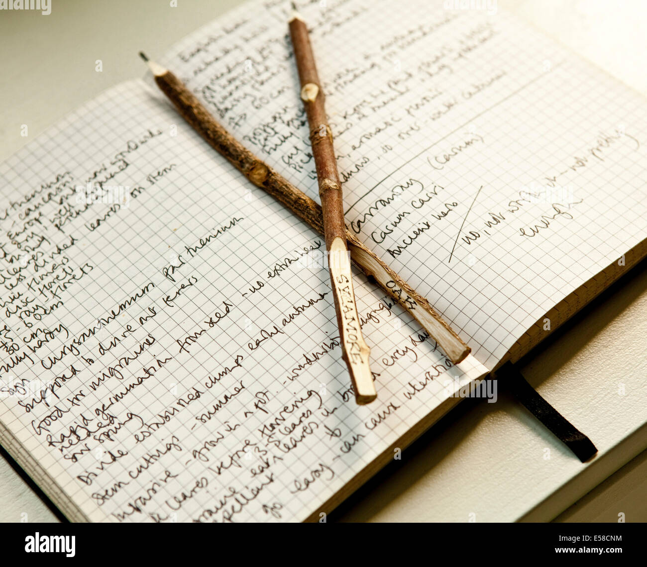 Open diary with handwriting and two wooden pencils in home of writer ...