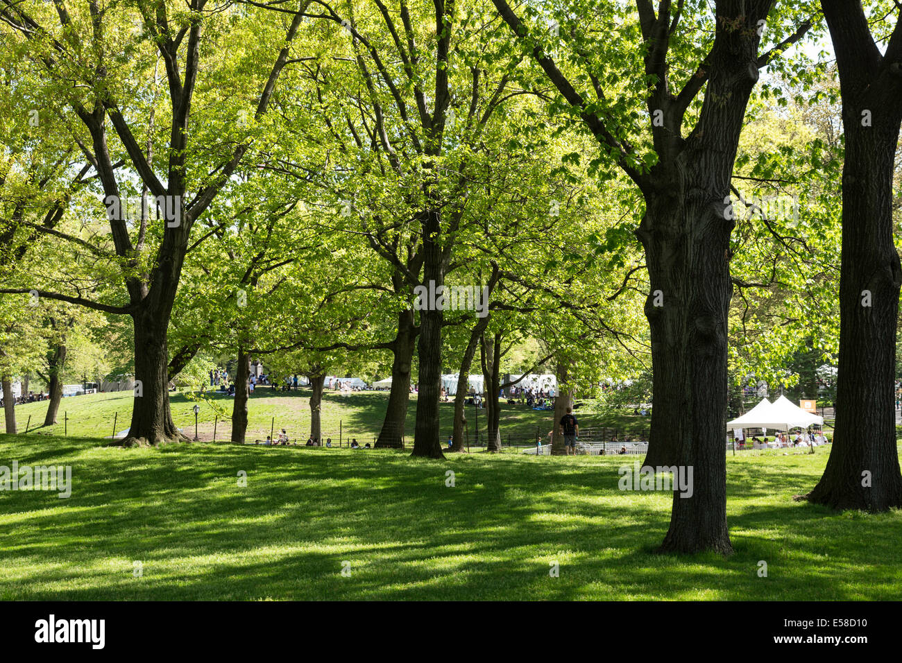 Scenic spring hi-res stock photography and images - Alamy