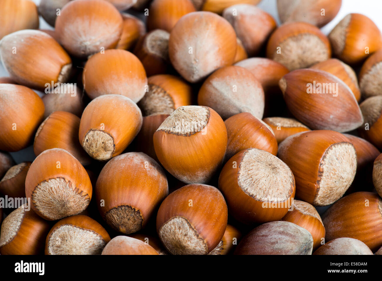 Fresh cropped hazelnuts as food background, macro image Stock Photo - Alamy
