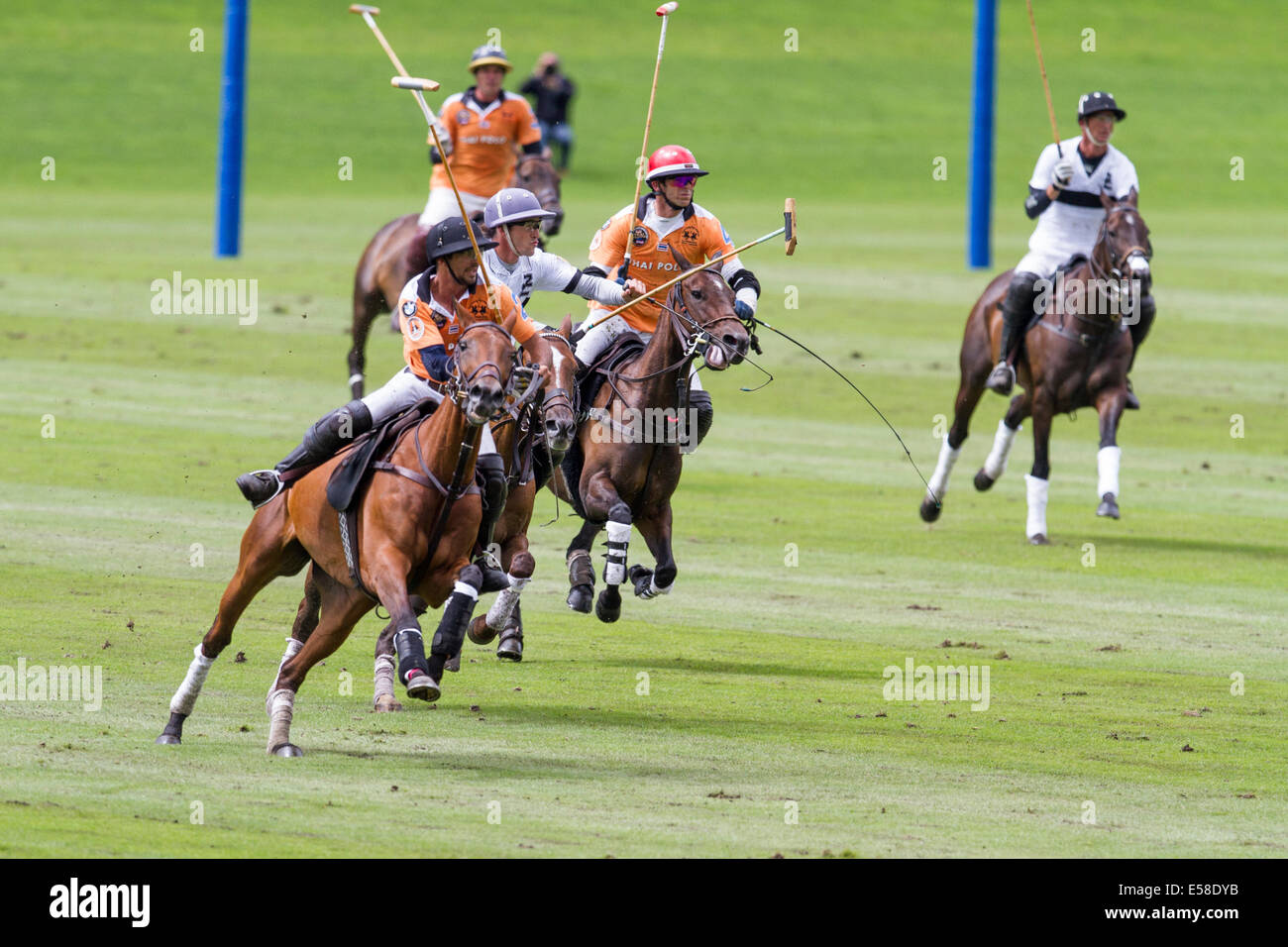 Polo players race for the ball Stock Photo - Alamy