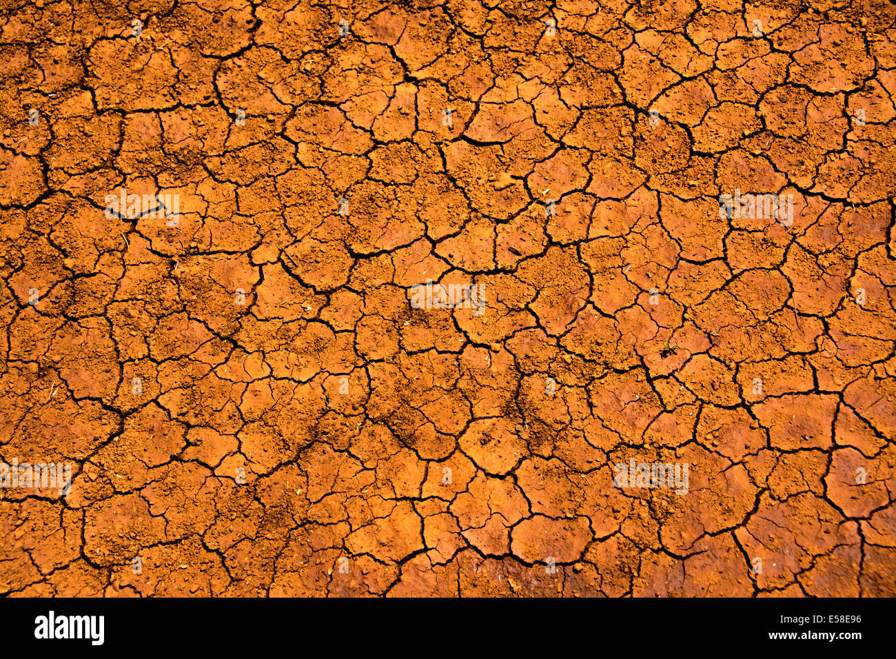 Soil environment hi-res stock photography and images - Alamy