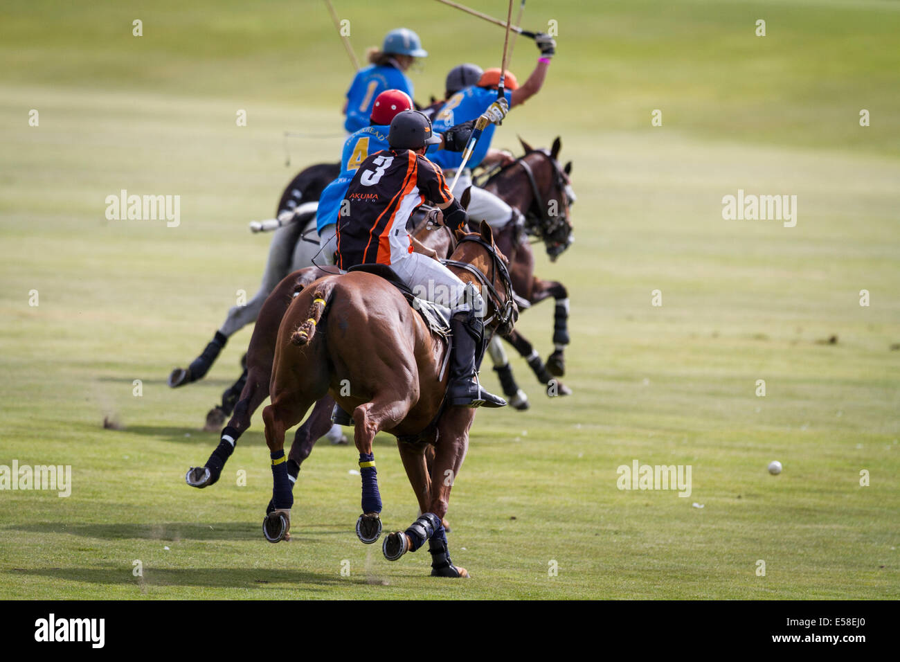 Black polo players hi-res stock photography and images - Alamy
