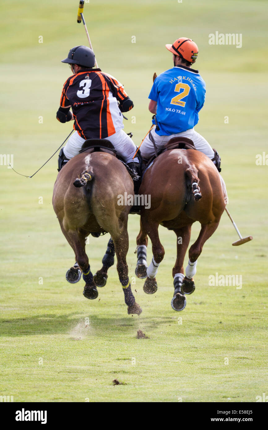 Black Polo Players Stock Photos & Black Polo Players Stock Images - Alamy