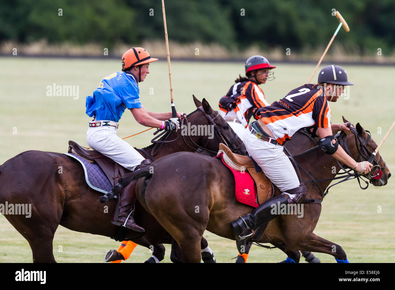Polo players ride tightly together as they race for the ball Stock ...