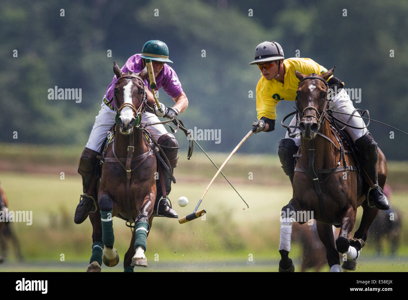 One time England International polo player, Alan Kent, tries to beat a ...