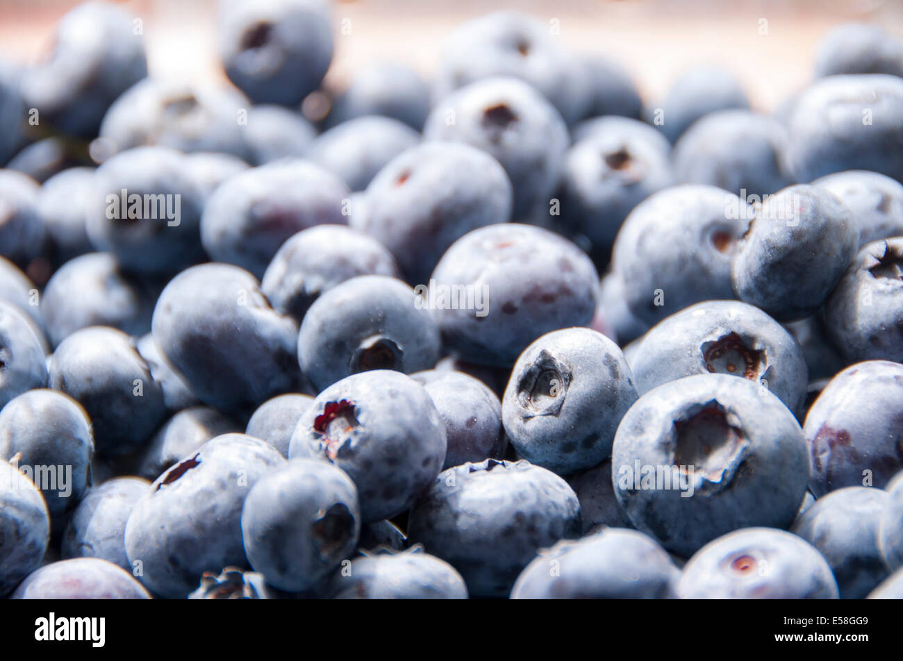 Beautiful bunch of fresh blueberries hi-res stock photography and ...