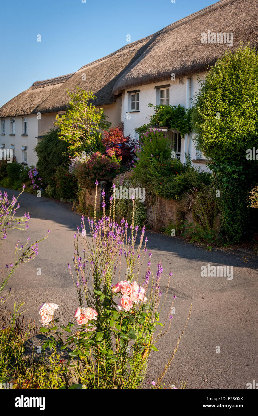 Witheridge devon hi-res stock photography and images - Alamy