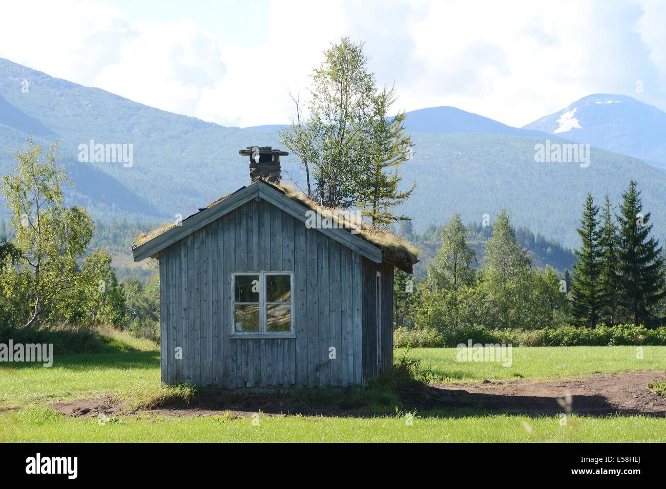 Beiarn hi-res stock photography and images - Alamy
