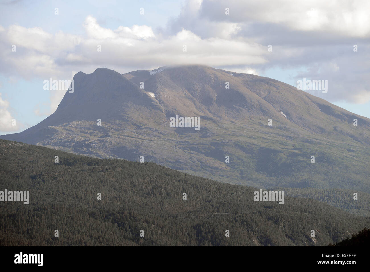 Beiarn hi-res stock photography and images - Alamy