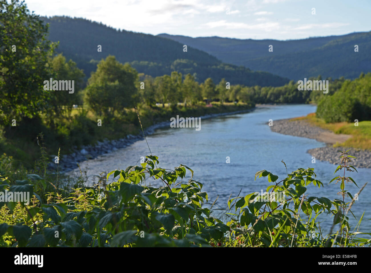 Beiarn hi-res stock photography and images - Alamy