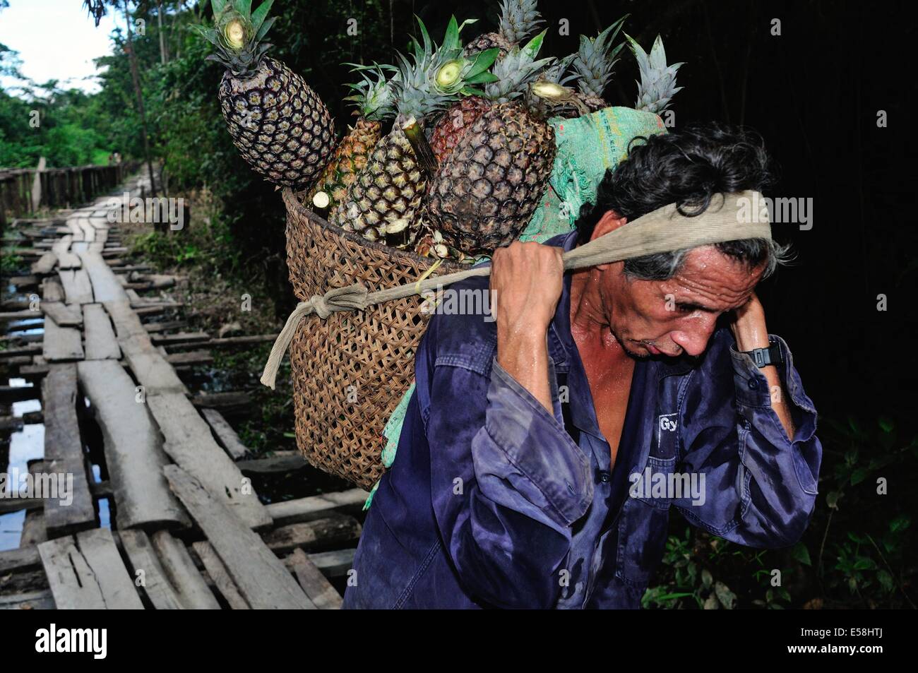 Selling pineapple - Traditional bridge in PANGUANA . Department of ...