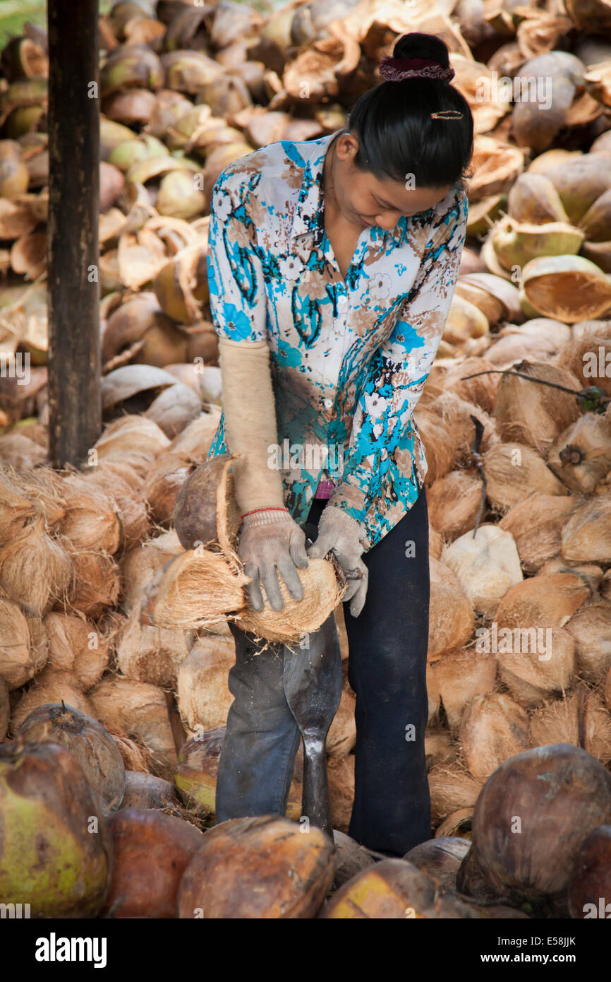 Peels of coconuts hi-res stock photography and images - Alamy