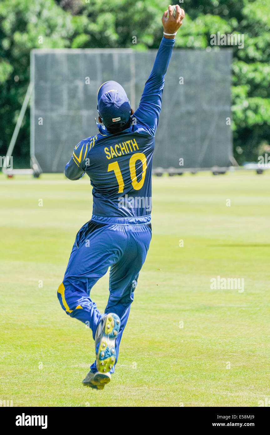 Hands in the air catch a cricket ball hi-res stock photography and images - Alamy
