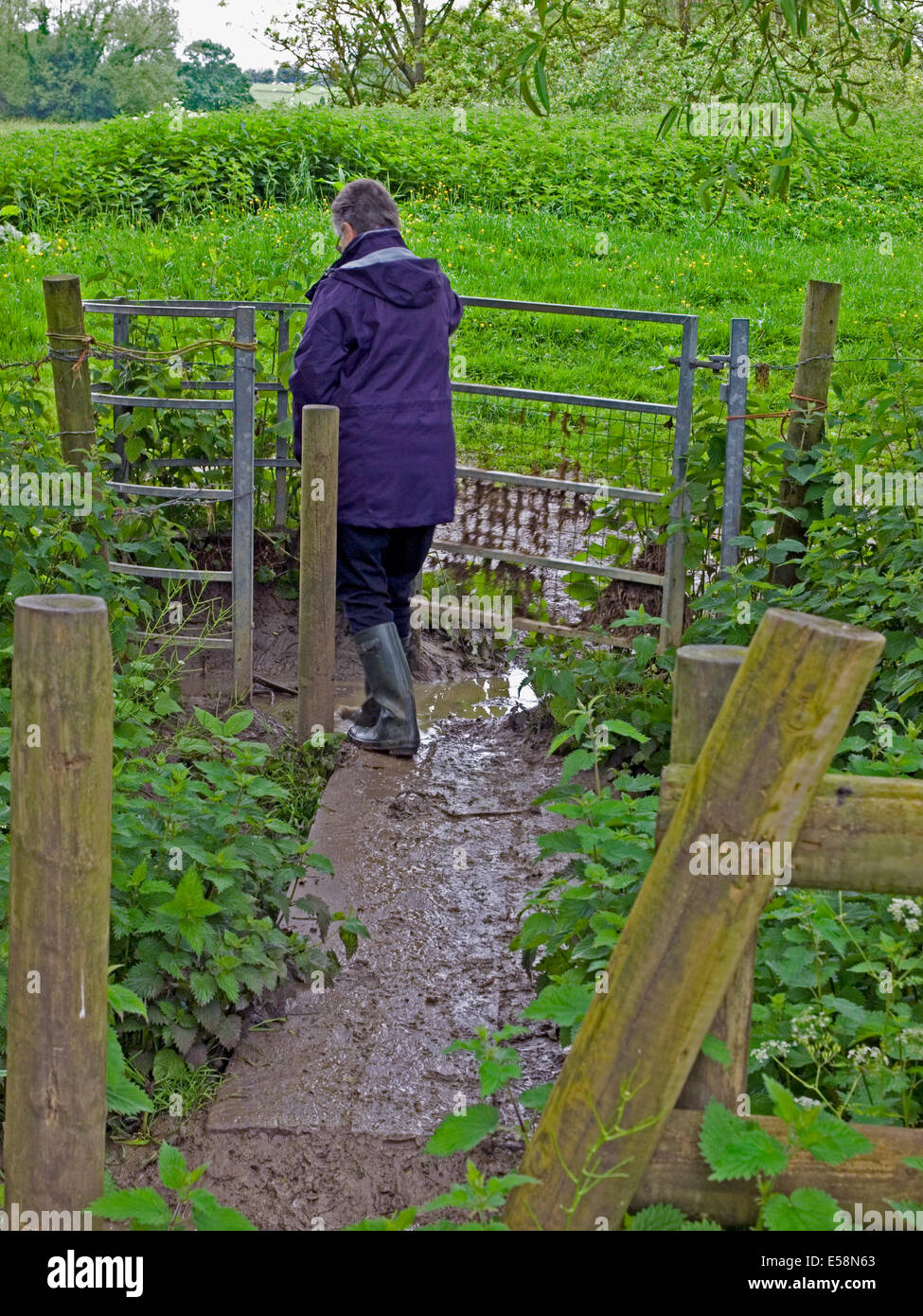 Walker muddy footpath modern kissing gate Stock Photo - Alamy
