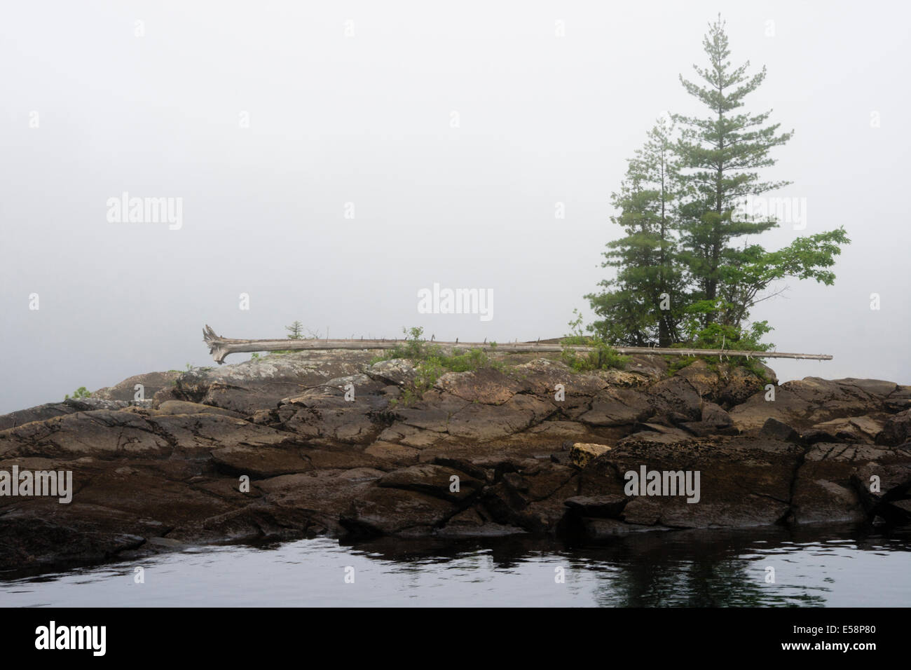 Pine trees and rock island on top of waterfall with fog as backdrop ...