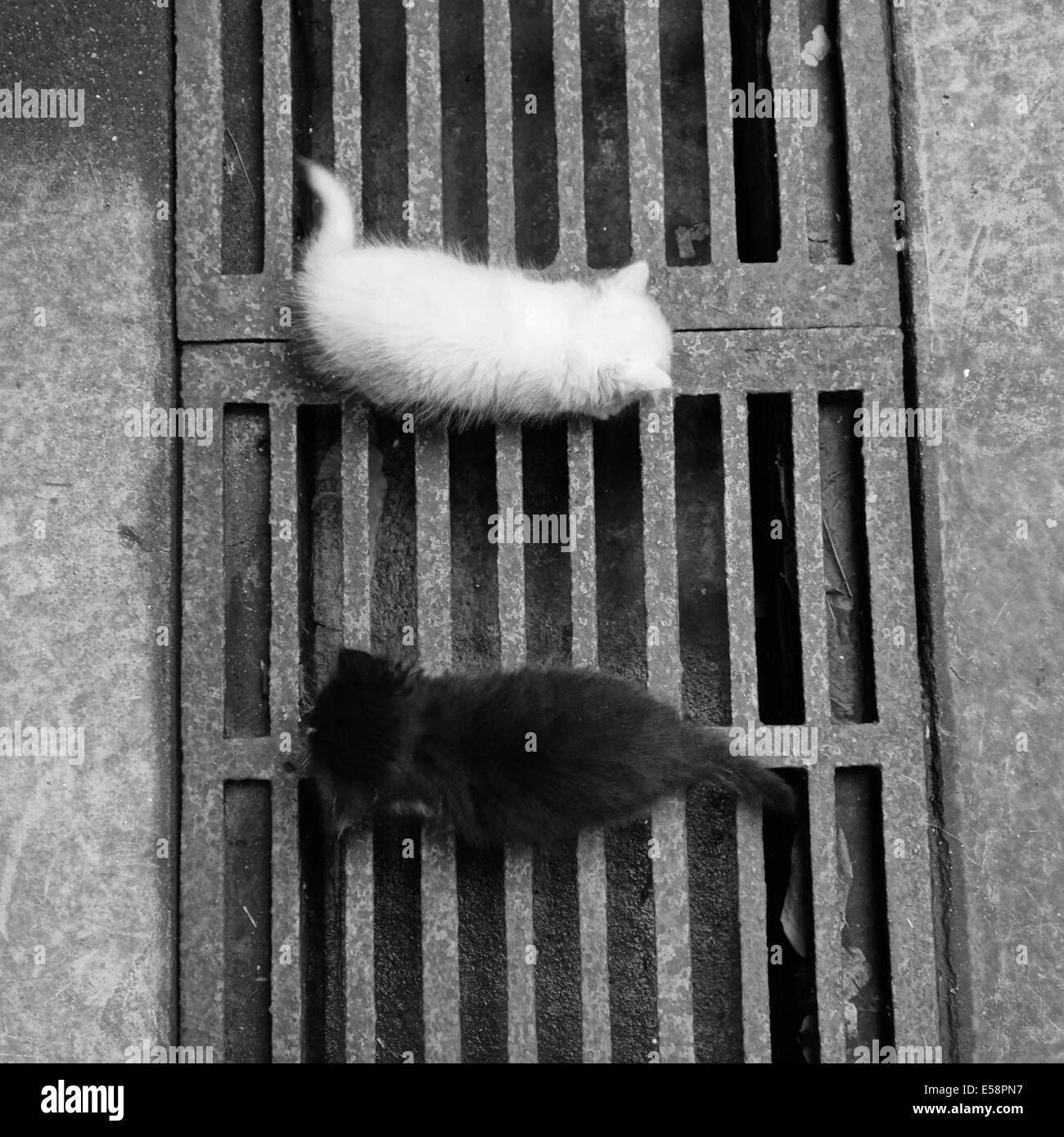China sichuan province chengdu Black and White Stock Photos & Images ...