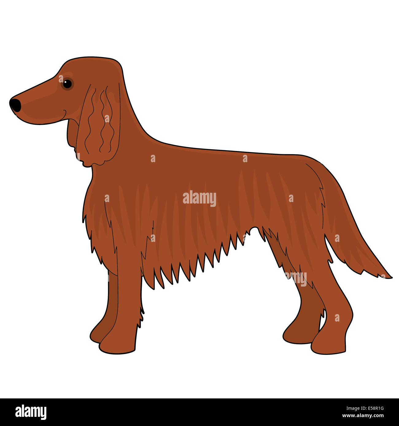 A cartoon illustration of an Irish Setter dog Stock Photo - Alamy