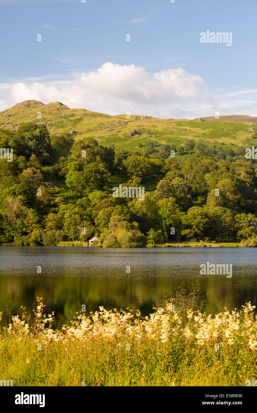 Rydal Water in the Lake District, UK Stock Photo - Alamy
