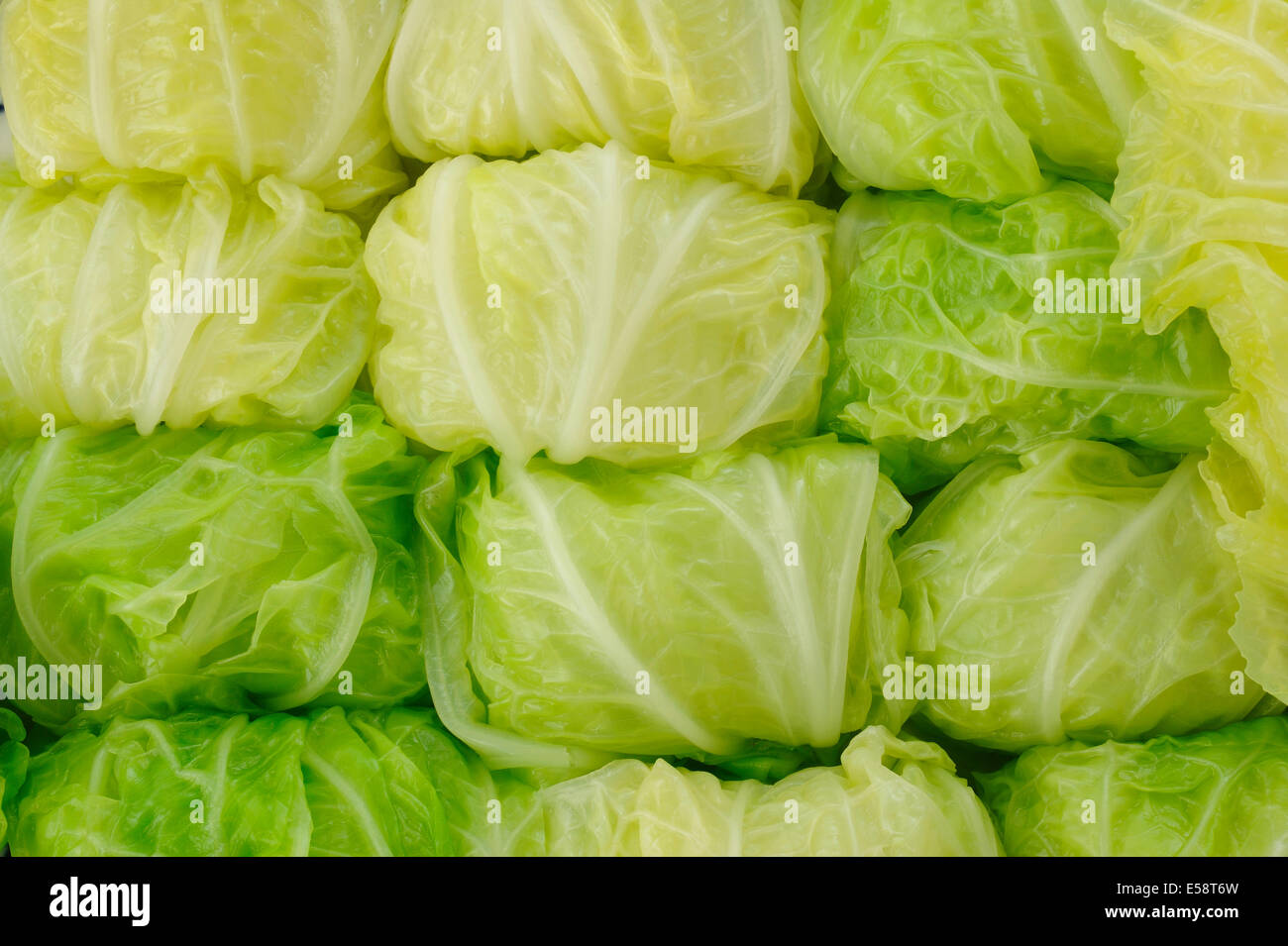 steamed chinese cabbage Stock Photo - Alamy