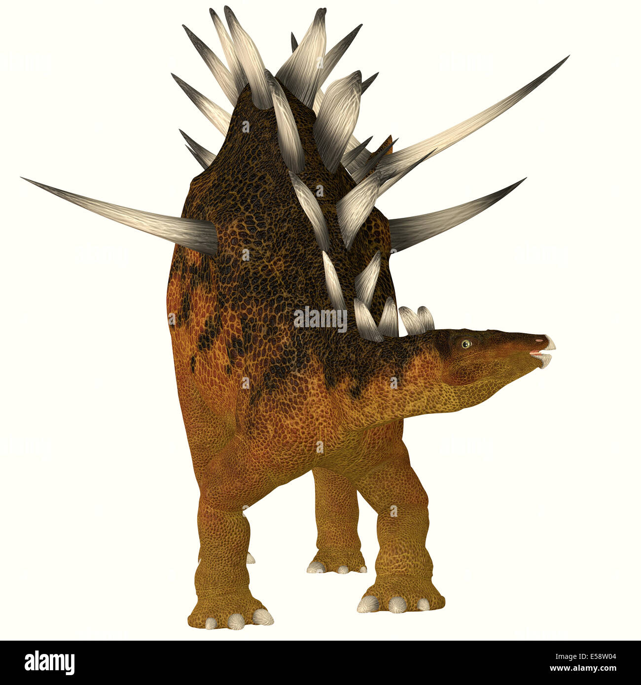 The Kentrosaurus dinosaur from the Jurassic Period of North America has ...