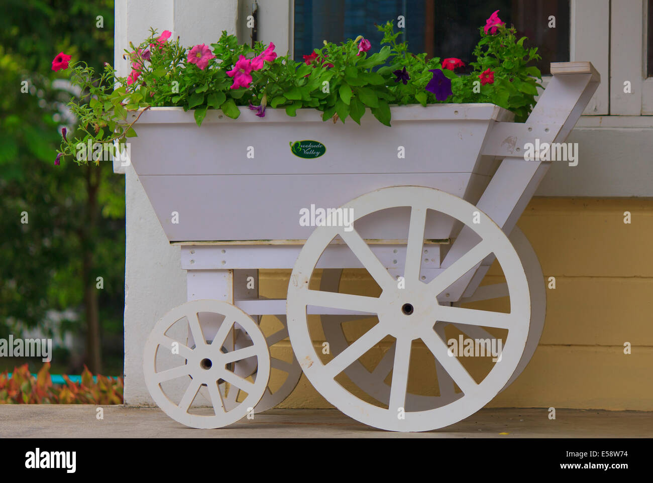 white wooden wheel barrow with flowers Stock Photo Stock Photo - Alamy