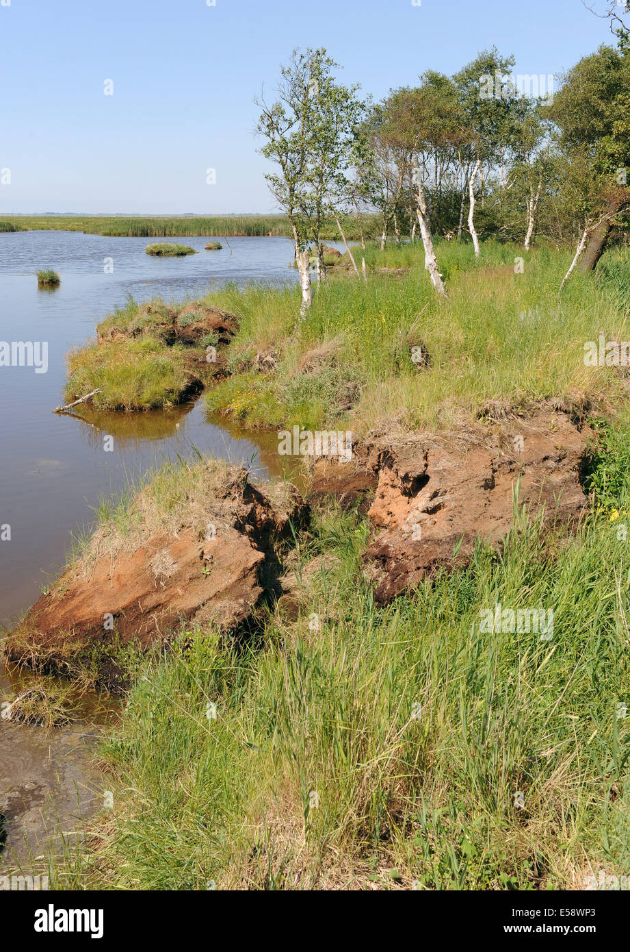 Sehestedt, Germany. 11th July, 2014. The swimming moor at the Jade Bay ...