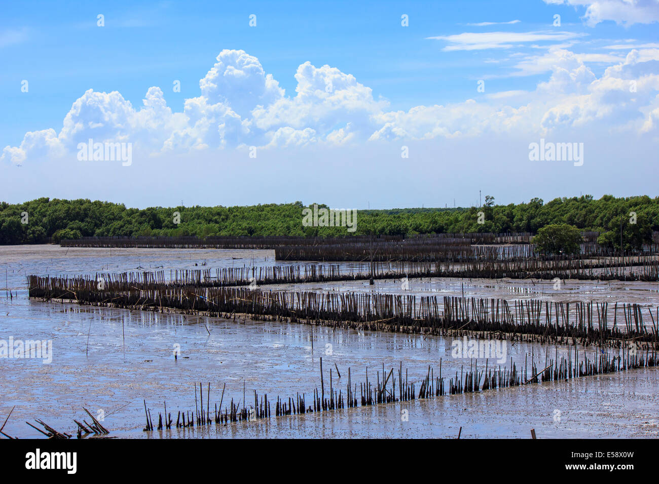 Mussel farm in the sea Stock Photo Stock Photo - Alamy