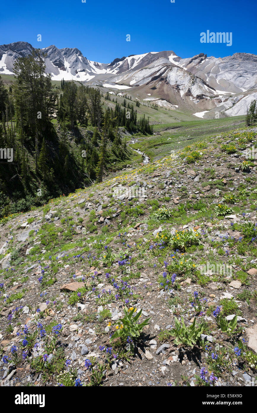 Subalpine basin in the Wallowa Mountains, Oregon Stock Photo - Alamy