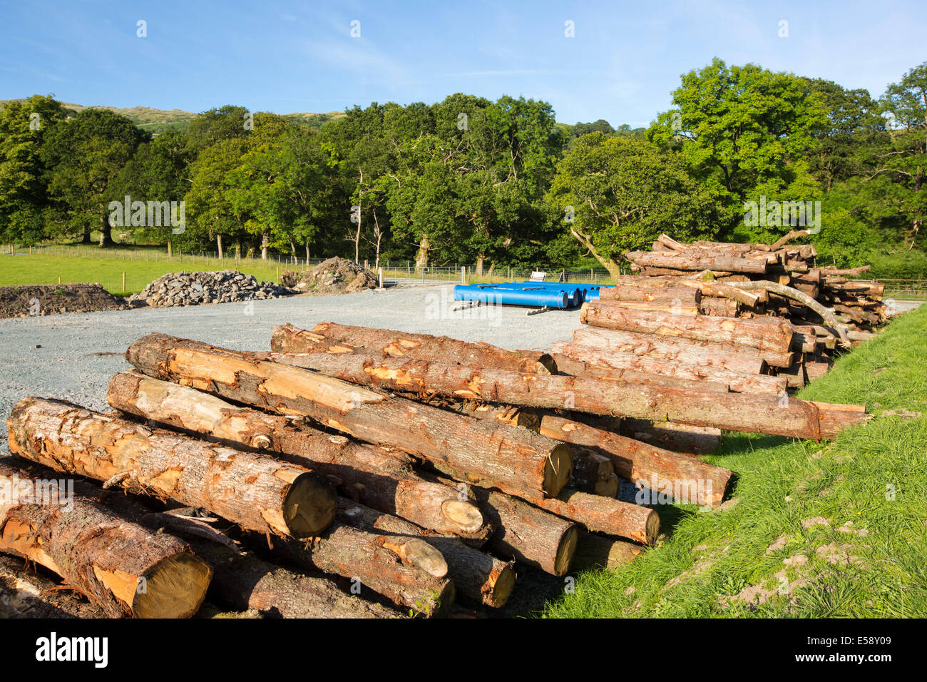 Logging scale hi-res stock photography and images - Alamy