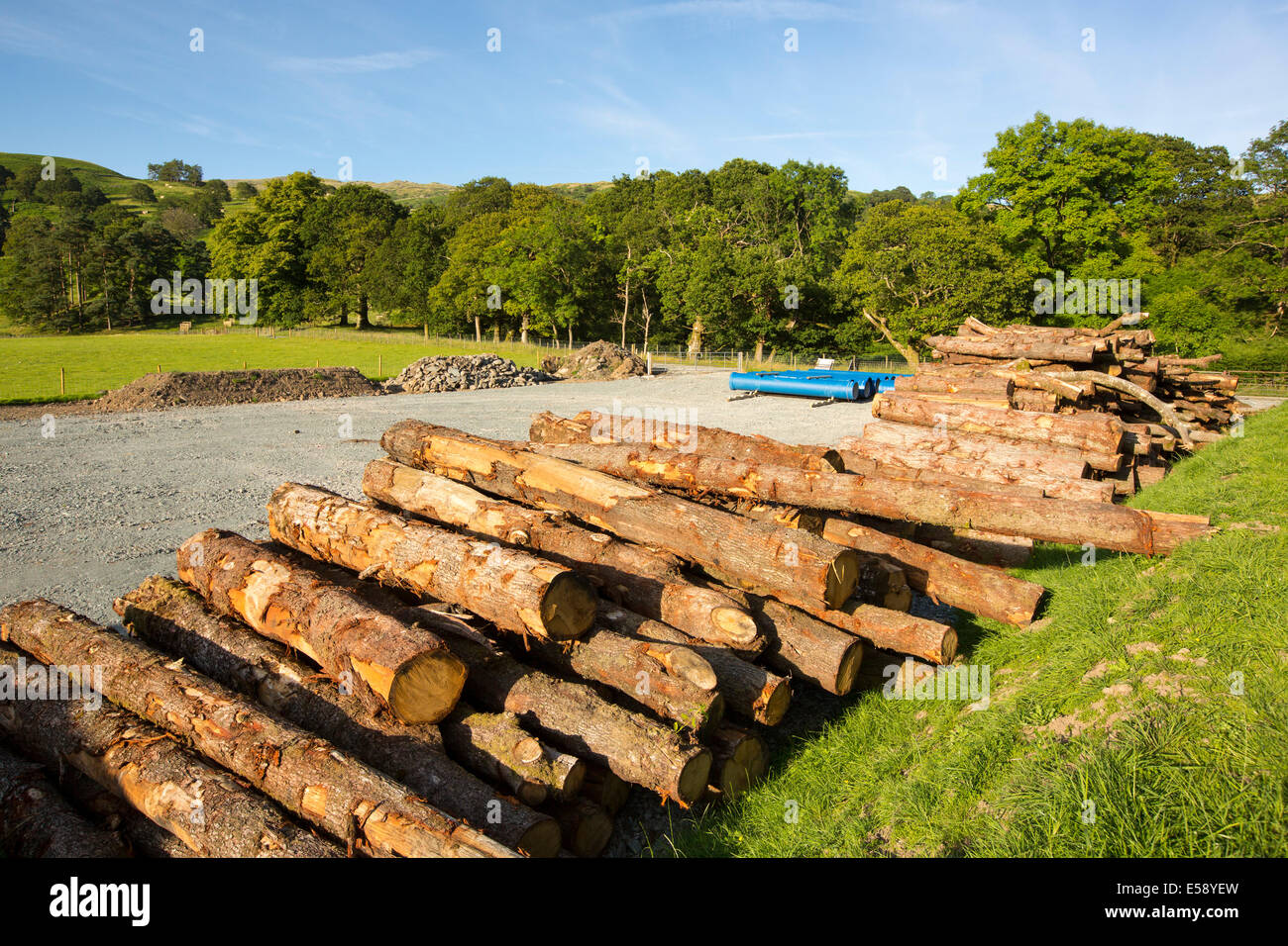Logging trees to make way for a small scale hydro project in Rydal ...