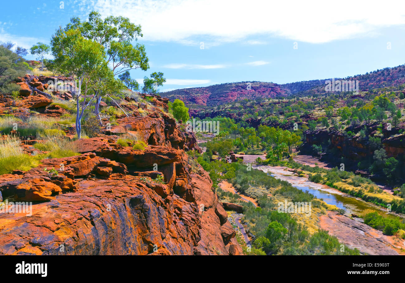Palm Valley Central Australia Northern Territory Stock Photo - Alamy
