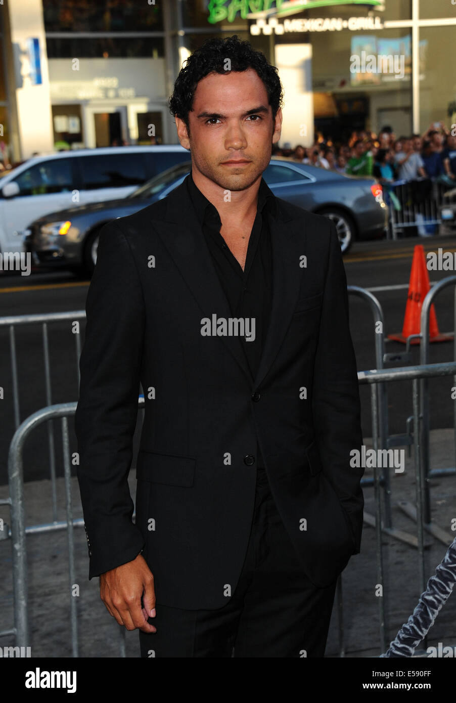 Los Angeles, California, USA. 23rd July, 2014. Reece Ritchie attending ...