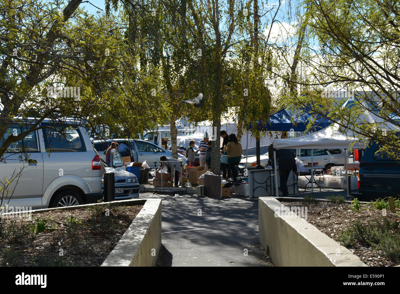 Iconic Sunday Market of Takapuna, Auckland, New Zealand Stock Photo - Alamy