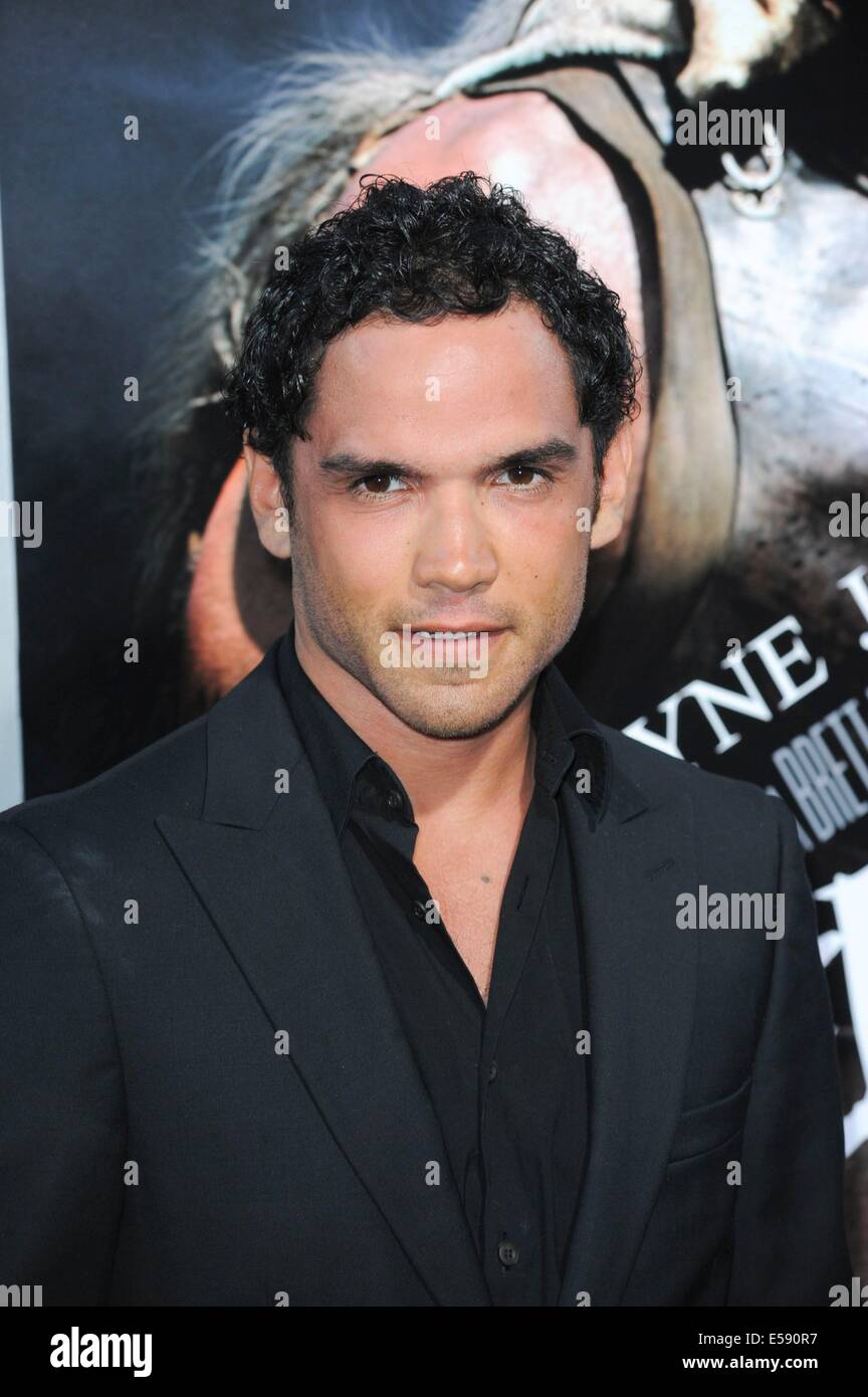 Los Angeles, CA, USA. 23rd July, 2014. Reece Ritchie at arrivals for ...