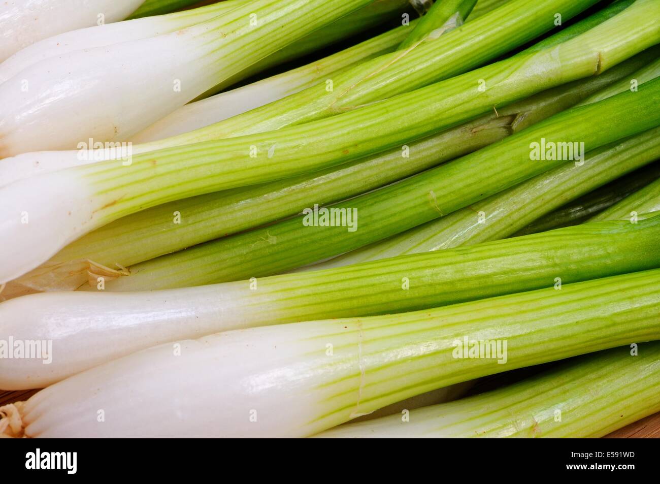 Bunch of white spring onions Stock Photo - Alamy